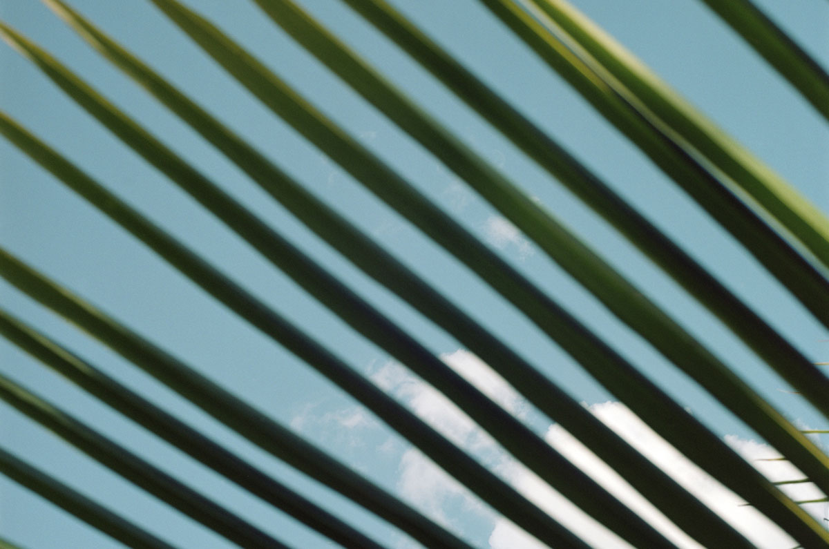 The perfect answer — Chapter I, Surf Panama — Eldorado